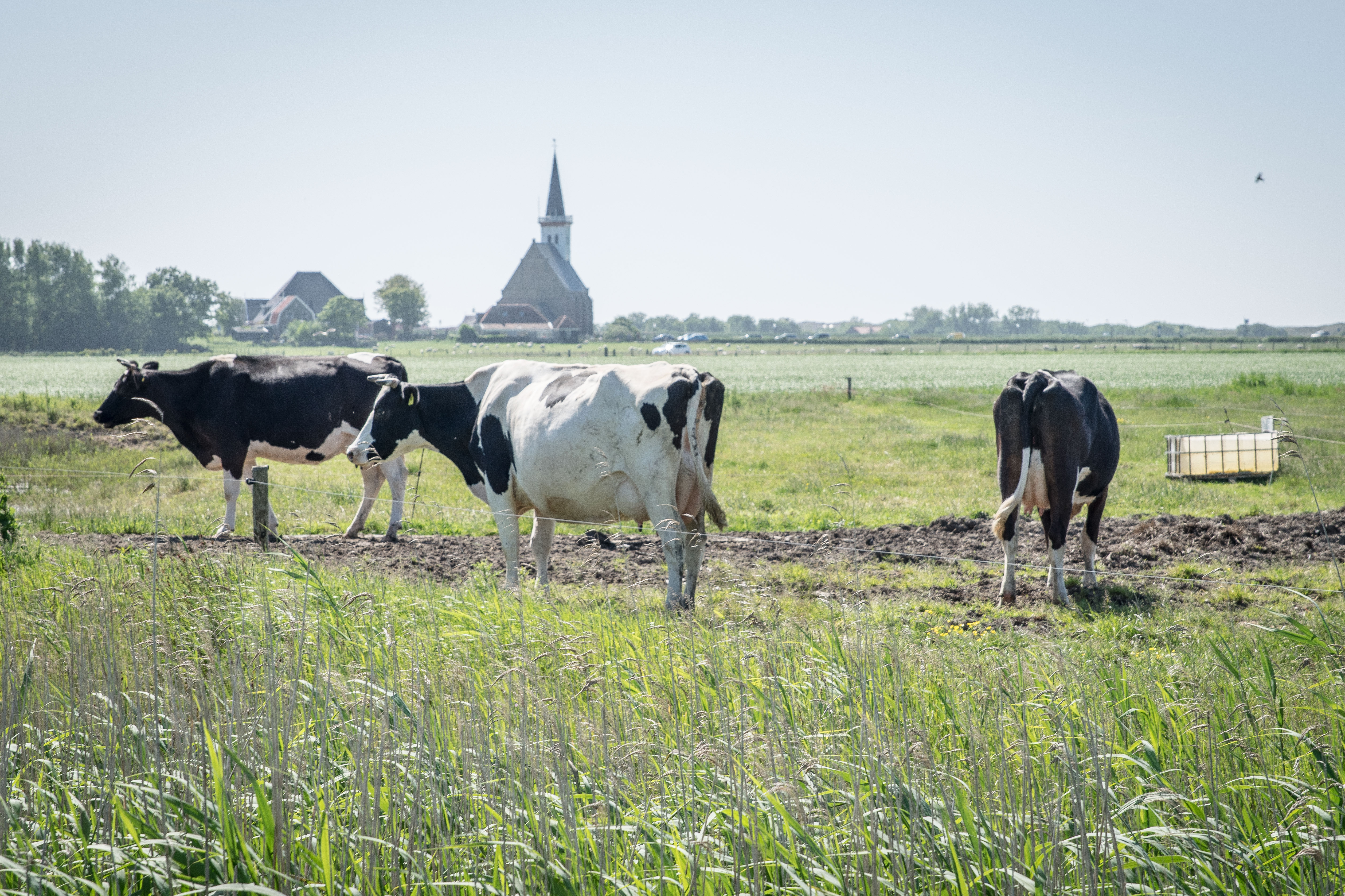 Dagbesteding
